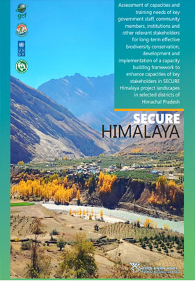 Capacity Assessment and Training Framework for Biodiversity ...