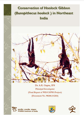 Conservation of Hoolock Gibbon (Bunopithecus hoolock) in Northeast India