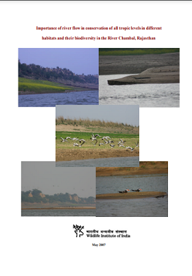 Importance of river flow in conservation of all tropic levels in ...